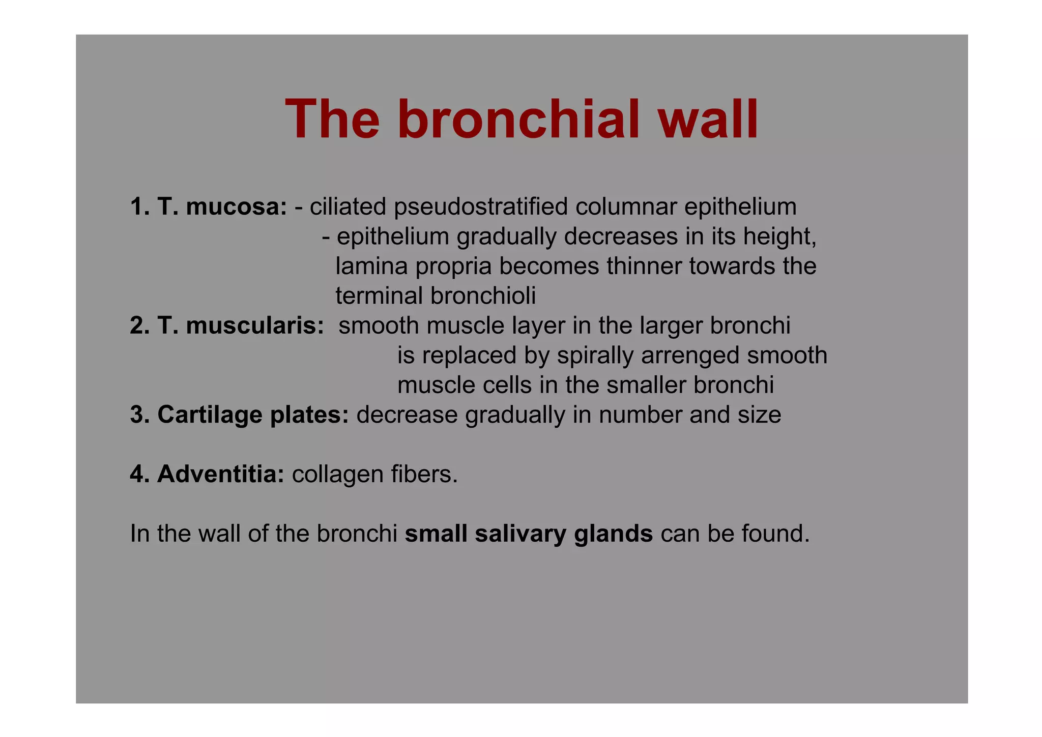 Histology of respiratory system larynx trache and lung | PDF