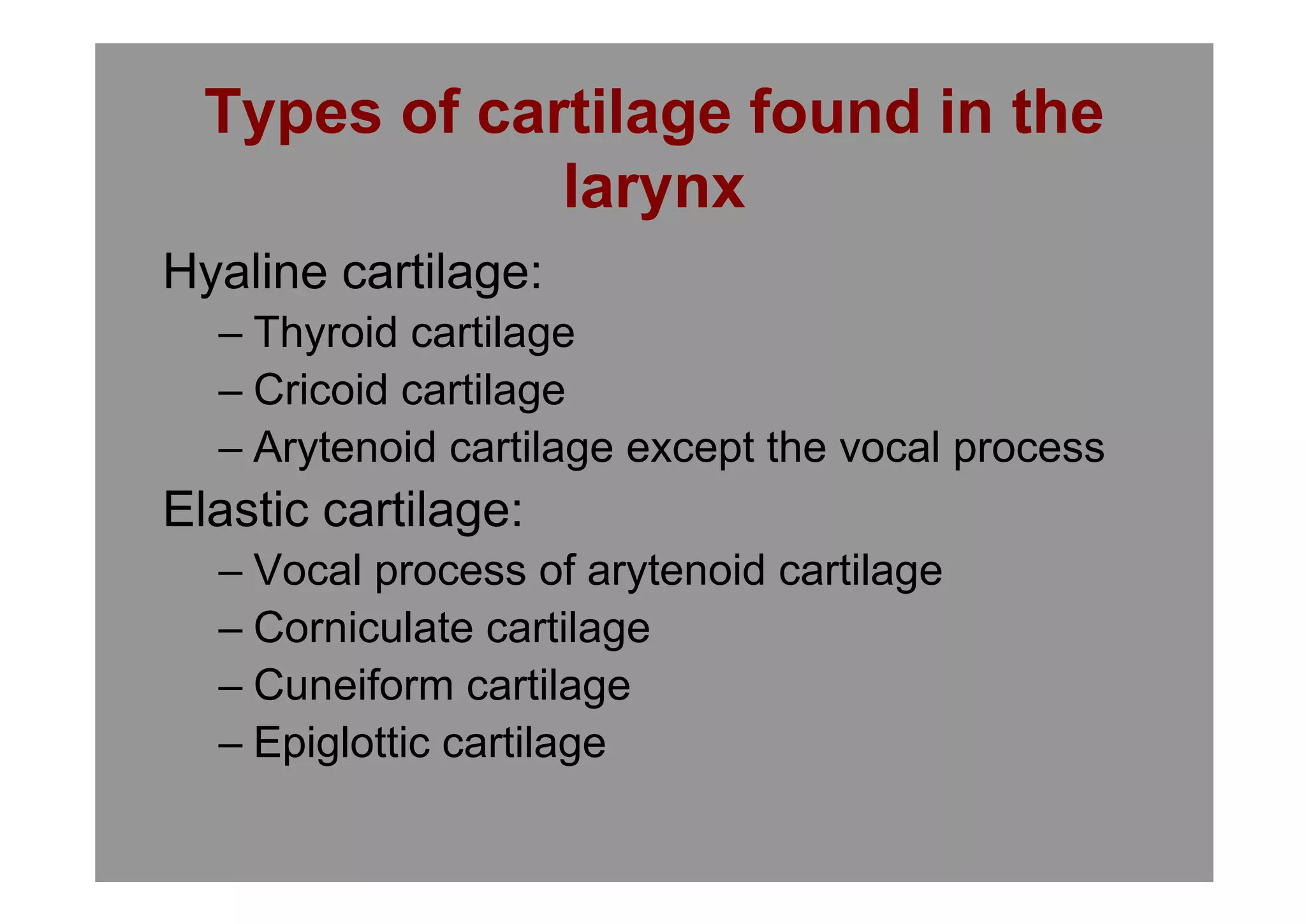 Histology of respiratory system larynx trache and lung | PDF