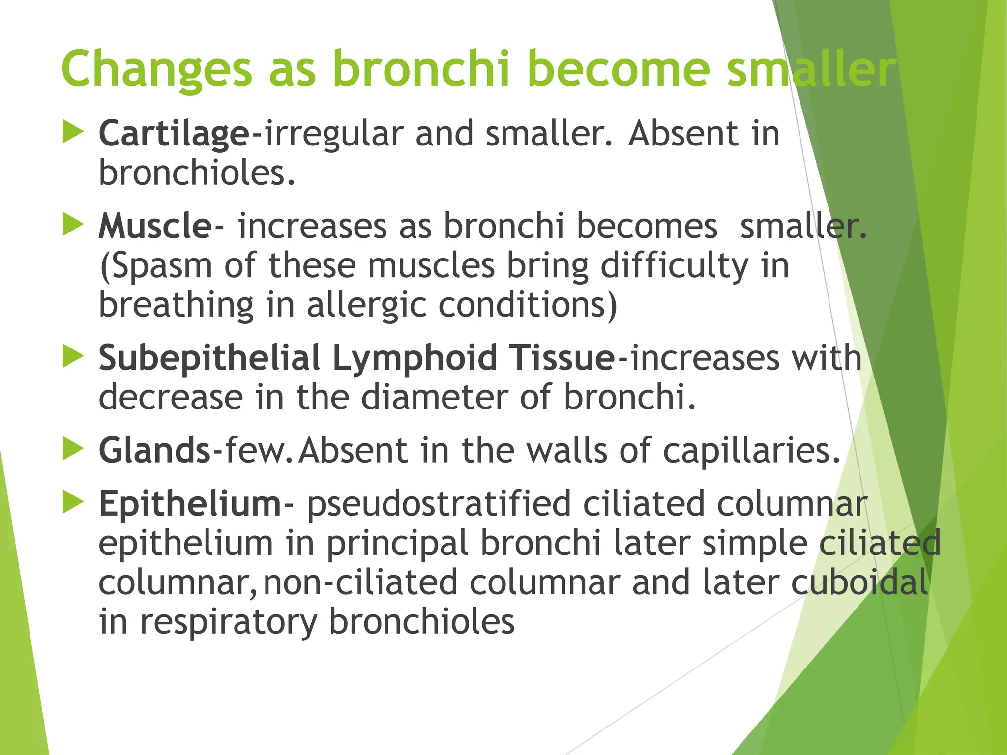 HISTOLOGY OF RESPIRATORY SYSTEM NOV 2025 (1).ppt