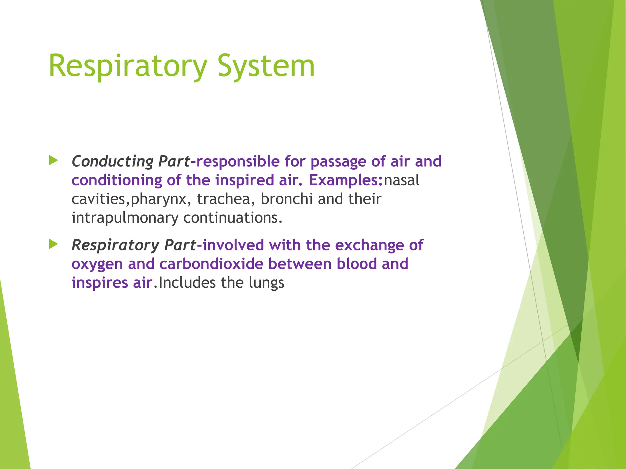 HISTOLOGY OF RESPIRATORY SYSTEM NOV 2025 (1).ppt