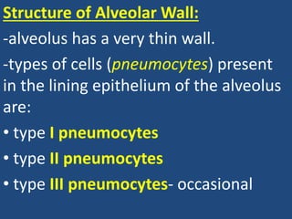HISTOLOGY OF RESPIRATORY SYSTEM PART II.pptx