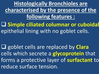 HISTOLOGY OF RESPIRATORY SYSTEM PART II.pptx