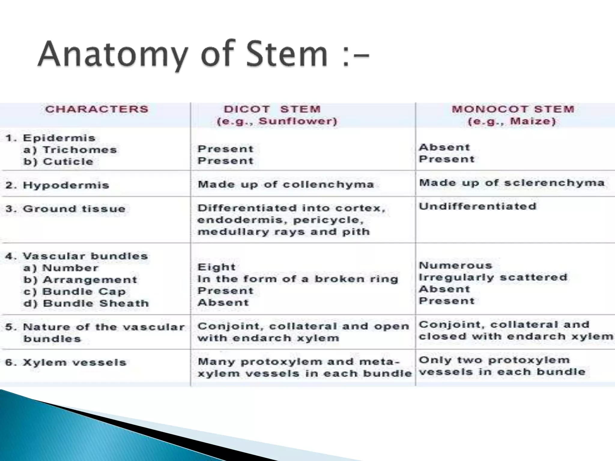 Histology of root,stem and leaf | PPTX