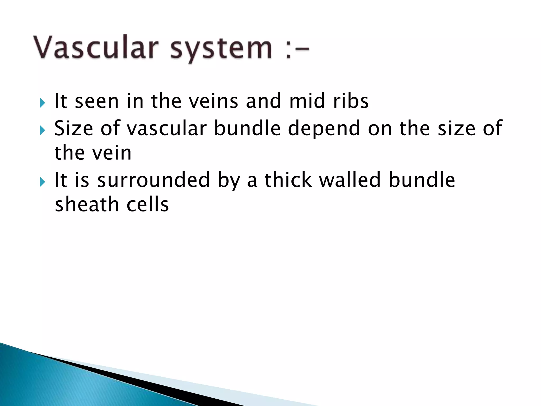 Histology of root,stem and leaf | PPTX