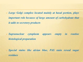 Histology of Salivary Glands BY DR. C. P. ARYA (B.Sc. B.D.S.; M.D.S.; P ...