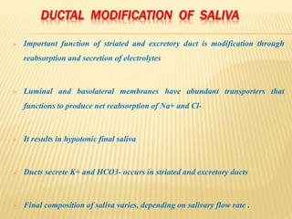 Histology of Salivary Glands BY DR. C. P. ARYA (B.Sc. B.D.S.; M.D.S.; P ...