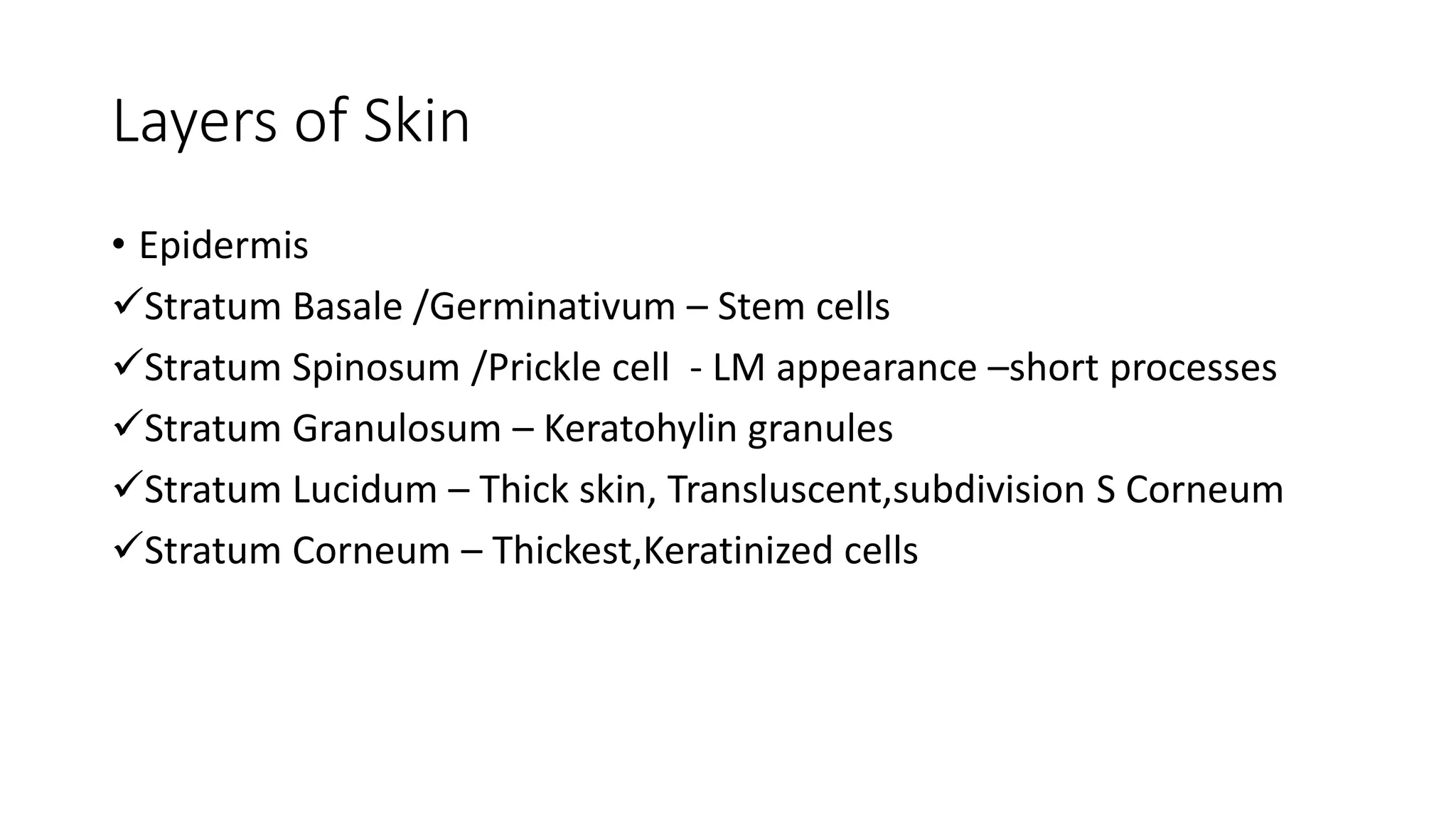 Histology of skin | PPTX