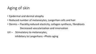 Histology of skin | PPTX