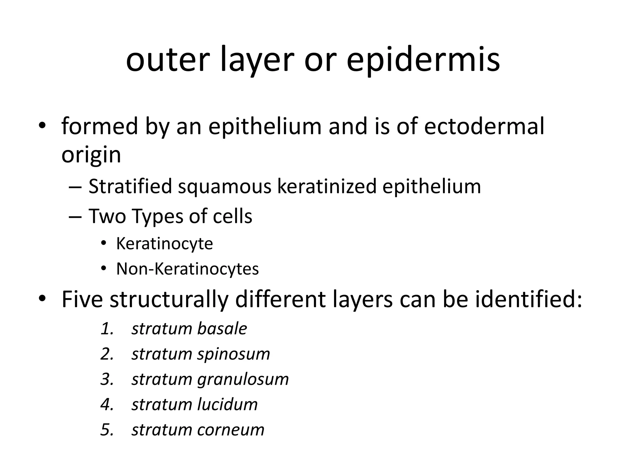 Histology of skin | PDF