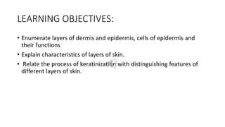 histology of skin.pptx