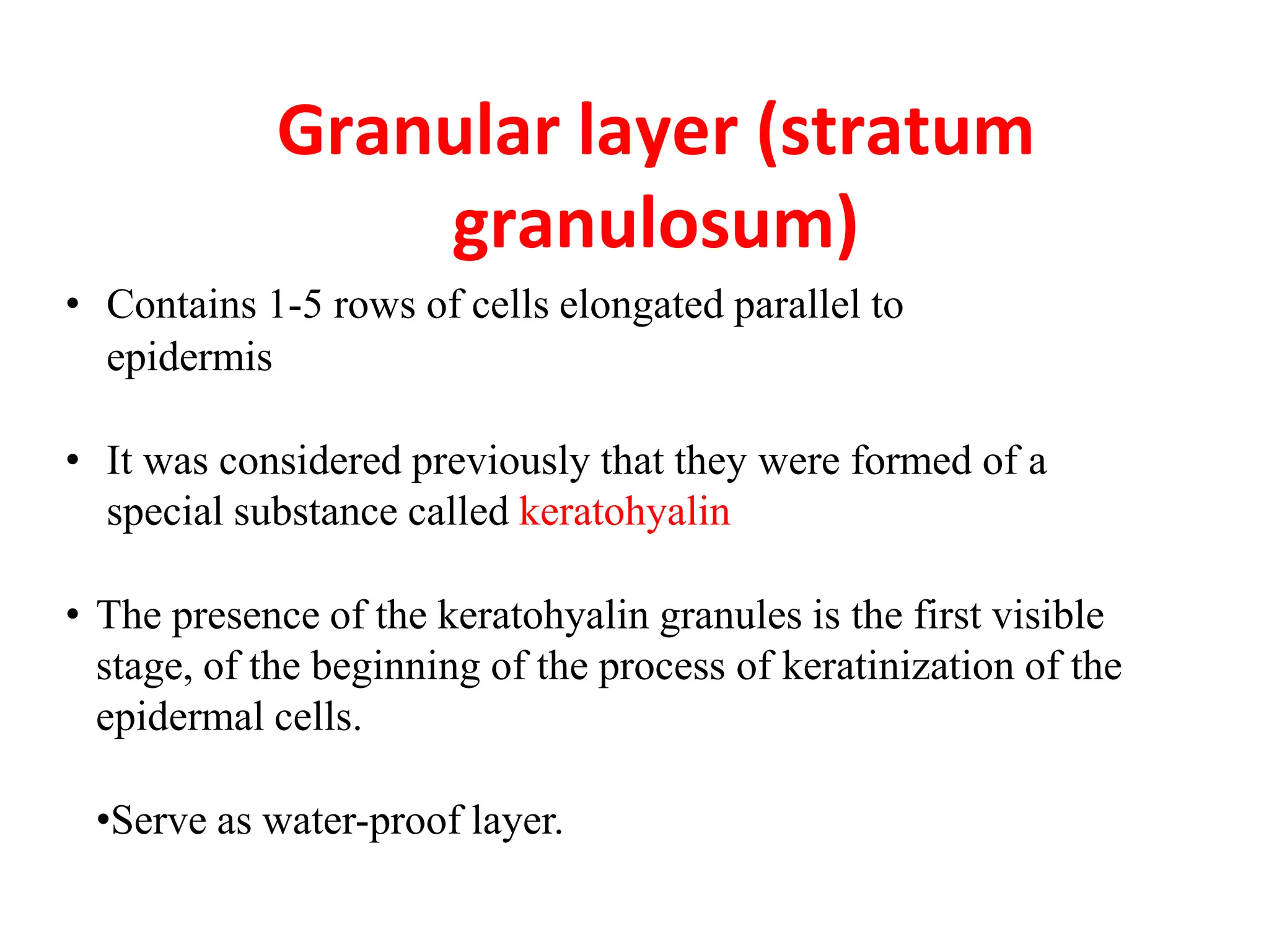 Anatomy and Histology of Skin(Dermis & Epidermis).pptx