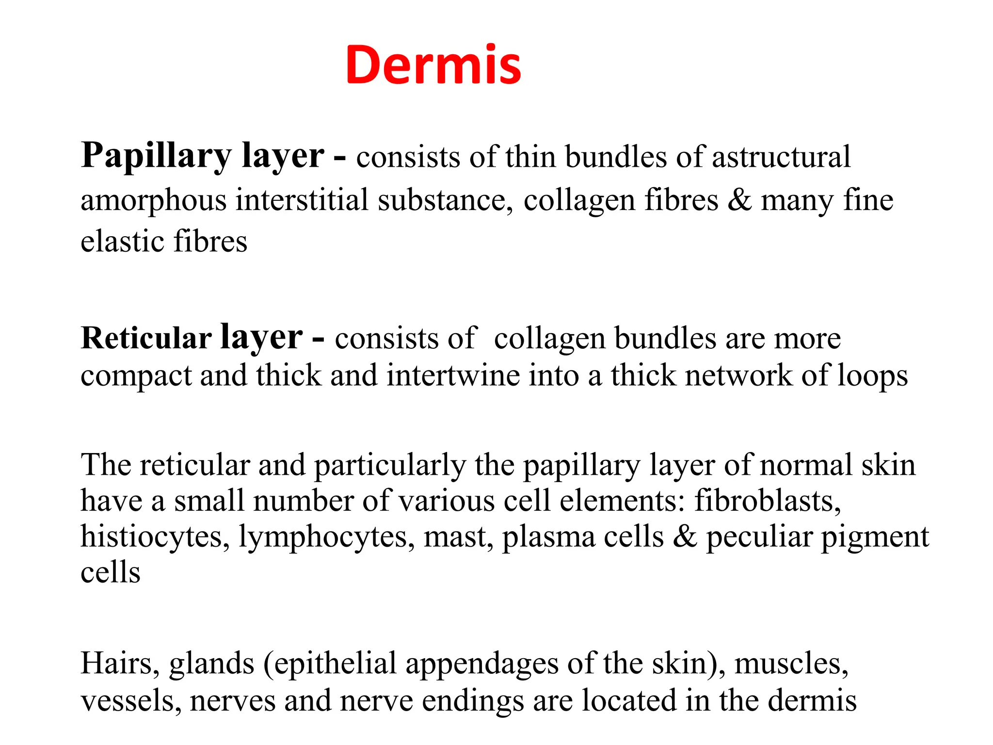 Anatomy and Histology of Skin(Dermis & Epidermis).pptx