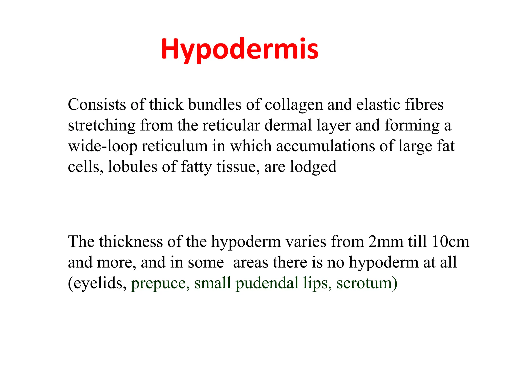Anatomy and Histology of Skin(Dermis & Epidermis).pptx