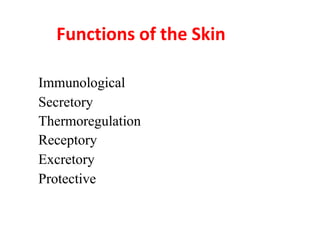 Anatomy and Histology of Skin(Dermis & Epidermis).pptx