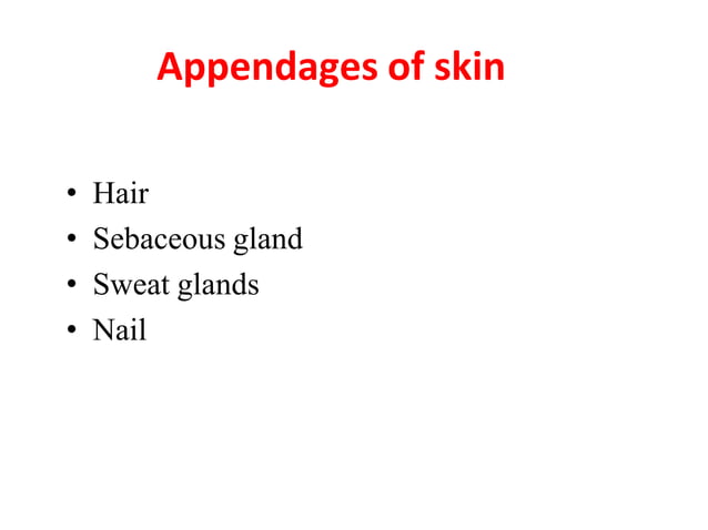 Anatomy and Histology of Skin(Dermis & Epidermis).pptx | Skin and Dermatology | Diseases and ...