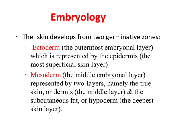 Anatomy and Histology of Skin(Dermis & Epidermis).pptx | Skin and Dermatology | Diseases and ...