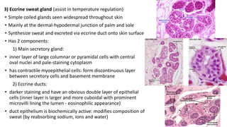 Histology of Skin anatomy and physiology | PDF