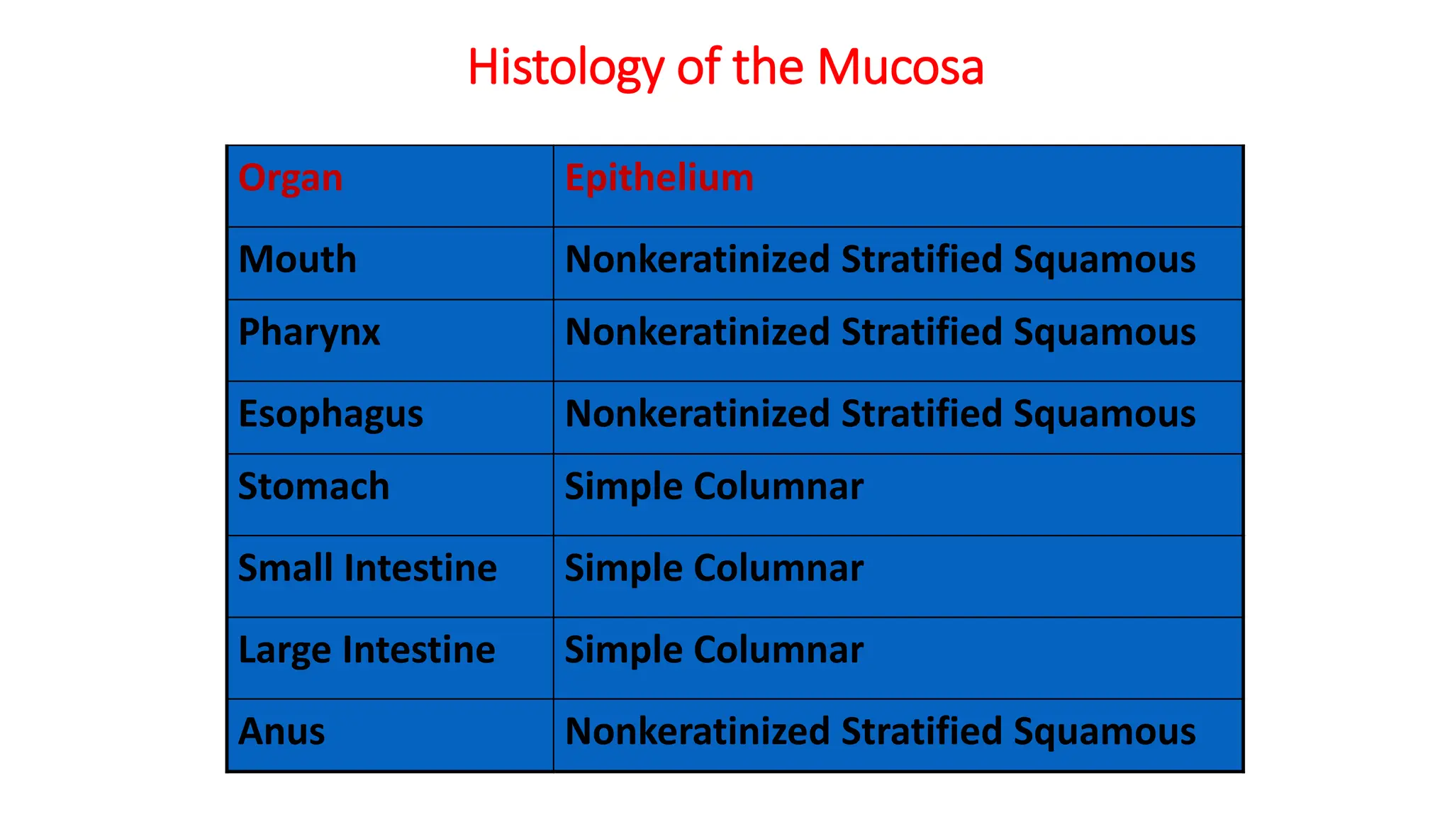 Histology/Micro Anatomy of Small Intestine.pptx