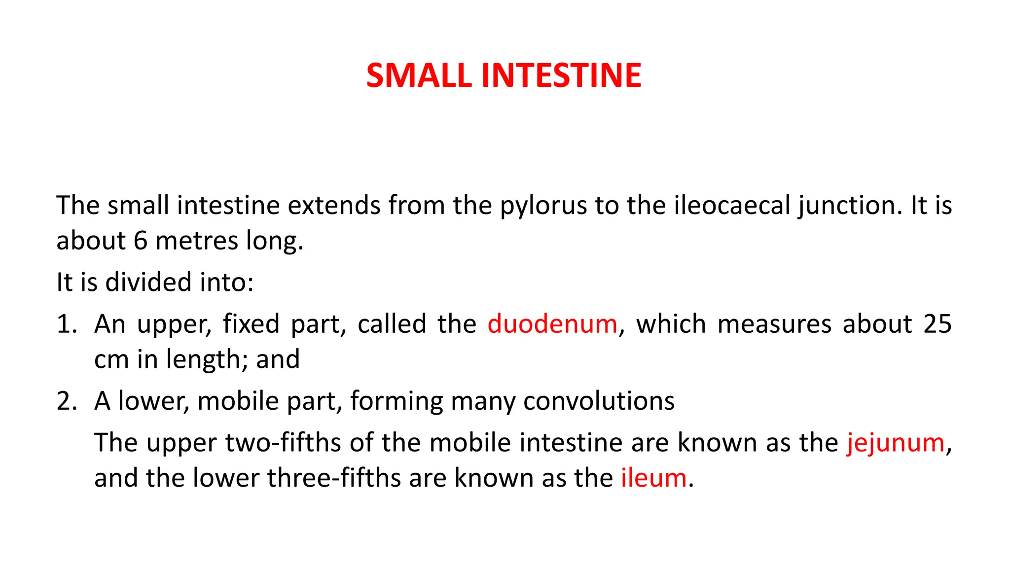 Histology/Micro Anatomy of Small Intestine.pptx