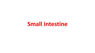 Histology/Micro Anatomy of Small Intestine.pptx