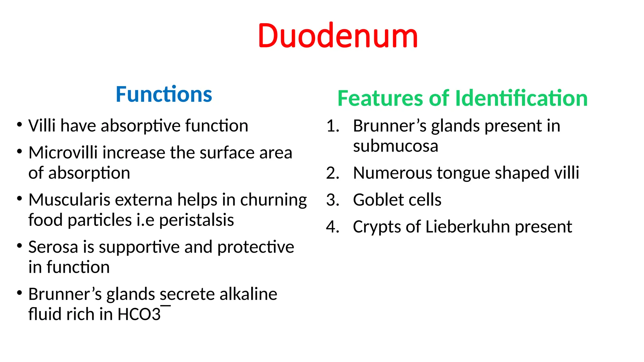 Histology of Small Intestine.pptx