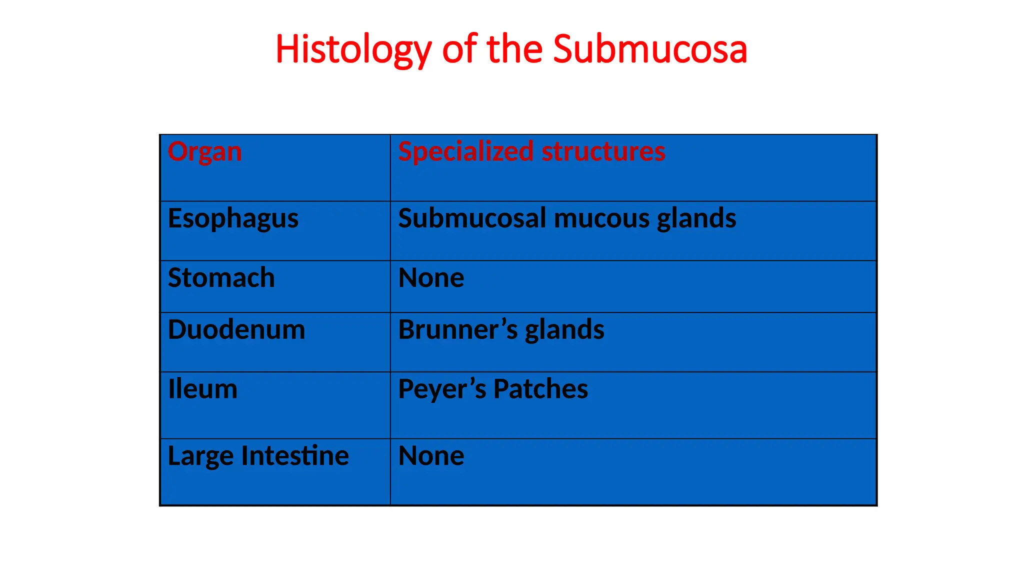 Histology of Small Intestine.pptx
