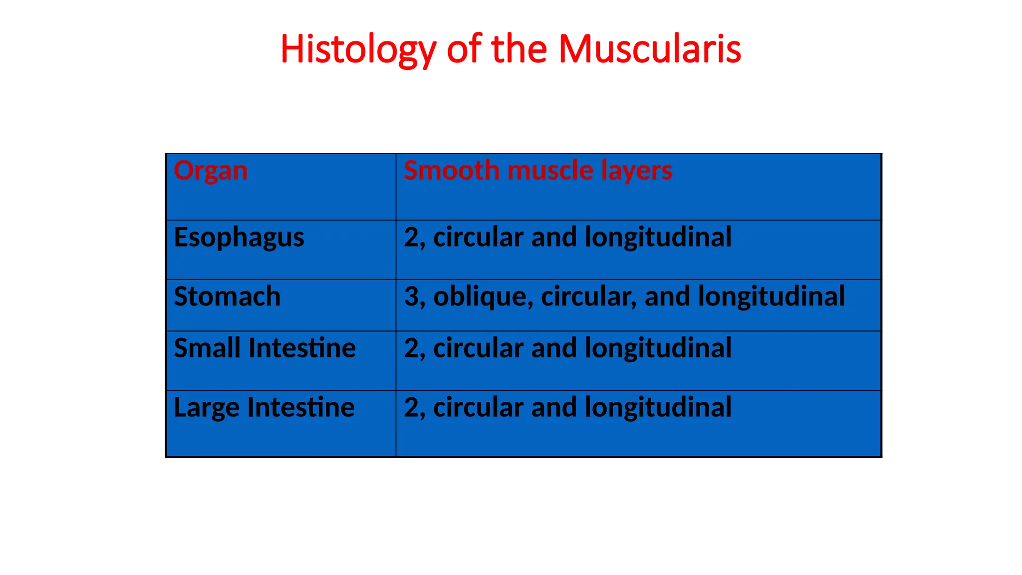 Histology of Small Intestine.pptx