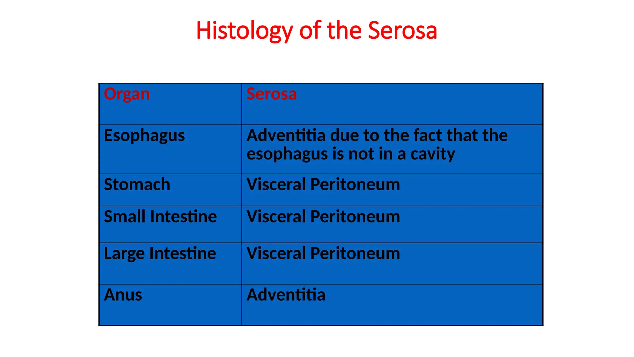 Histology of Small Intestine.pptx