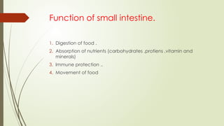 histology of Small Intestine.pptxdydydyd | PPTX