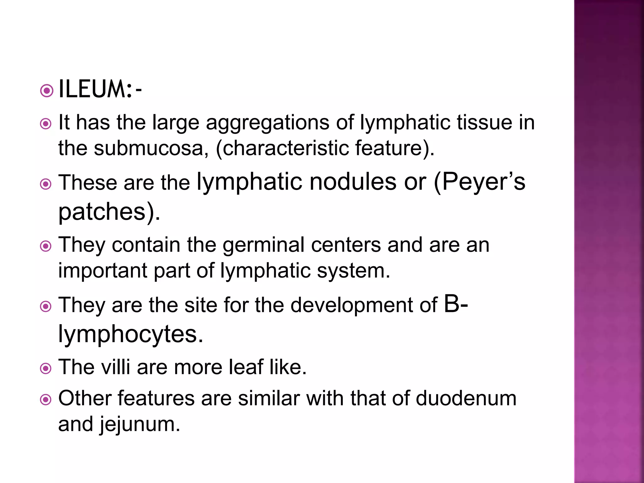 Histology of small intestine | PPTX