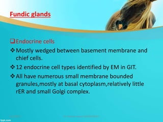 Histology of stomach | PPTX