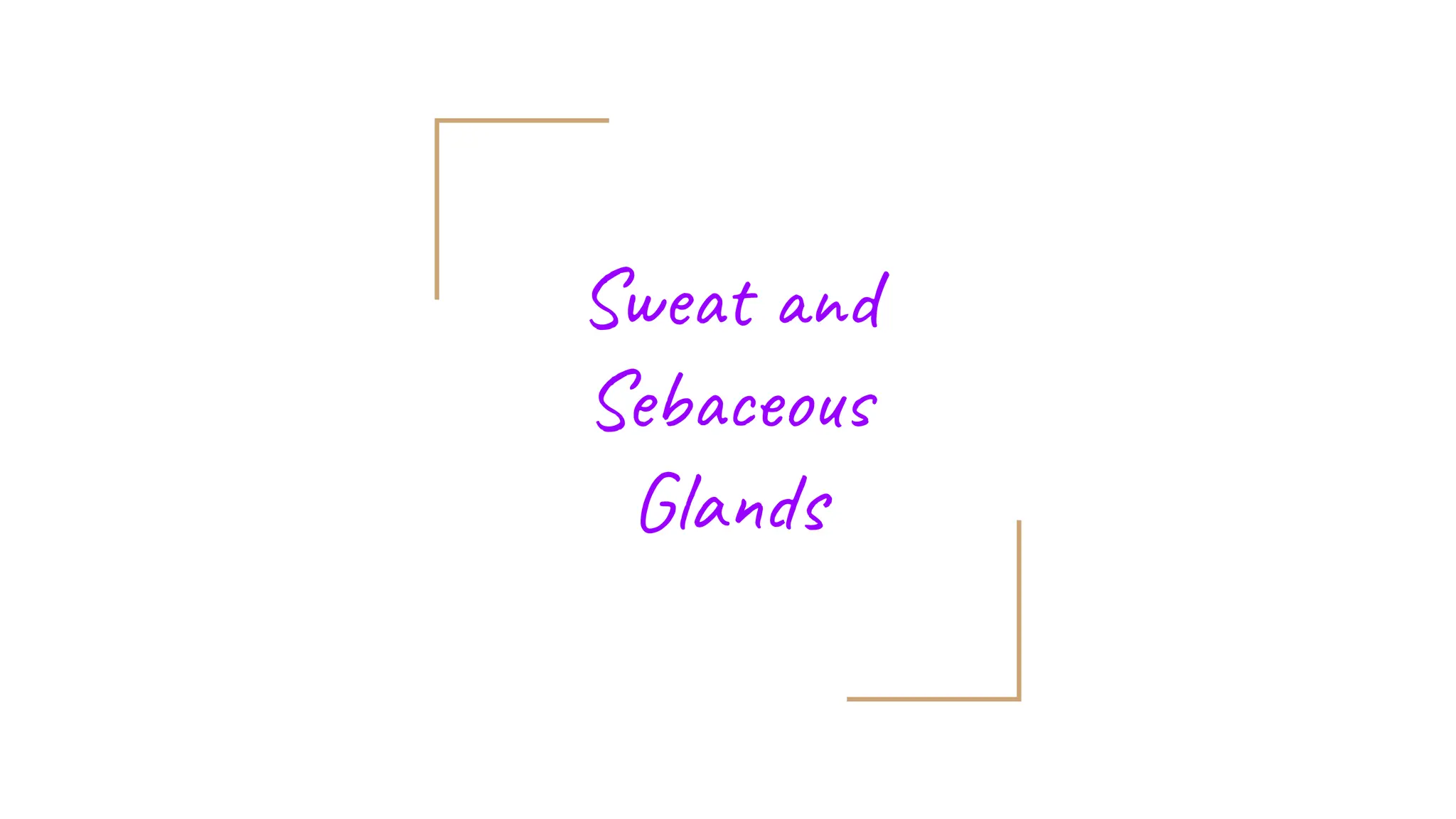 Histology of sweat and sebaceous glands .pdf