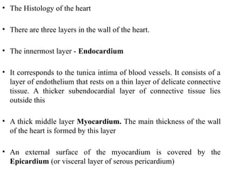 Histology of the Cardiovascular System.pptx