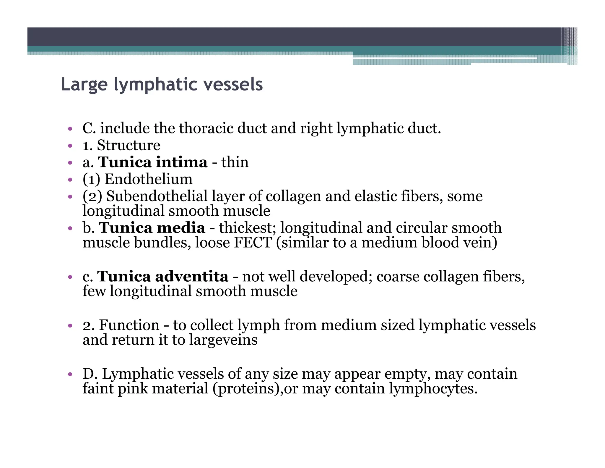HISTOLOGY_OF_THE_CIRCULATORY_SYSTEM__e33581e3.pdf