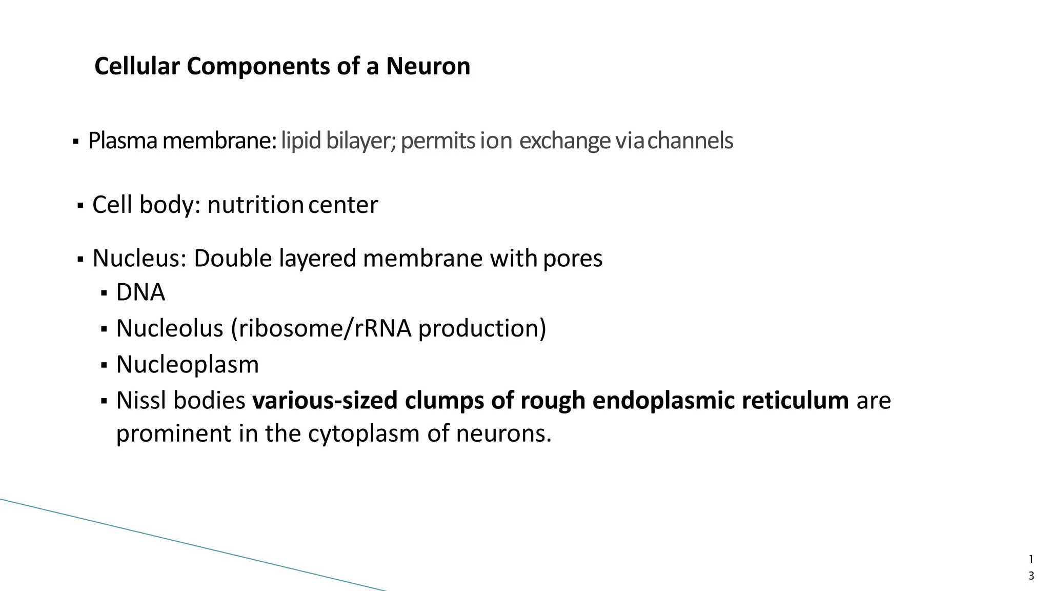 Histology of the CNS.pptx including neurons | PPTX