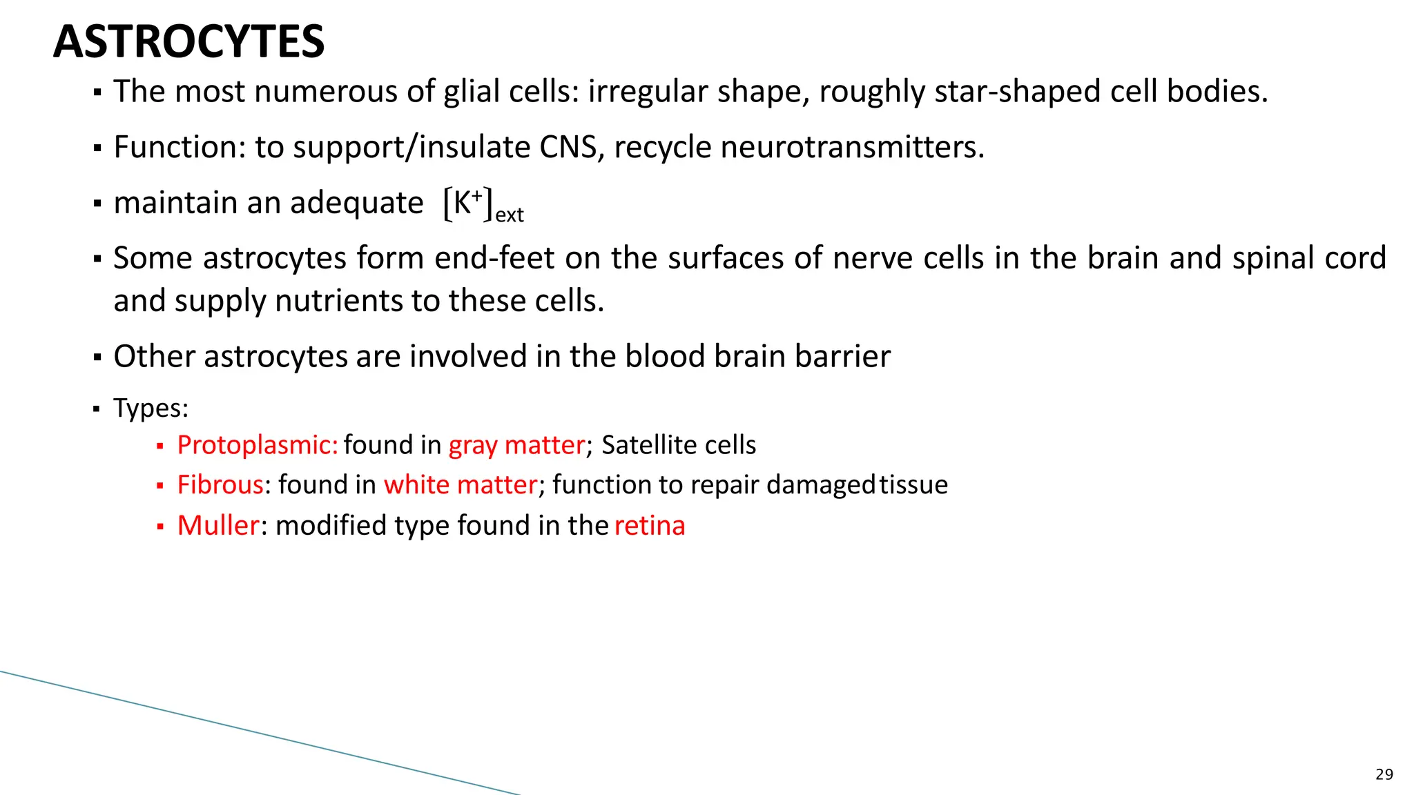 Histology of the CNS.pptx including neurons | PPT