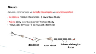 Histology of the CNS.pptx including neurons | PPT
