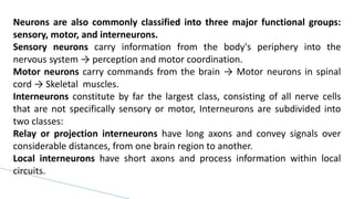 Histology of the CNS.pptx including neurons | PPT