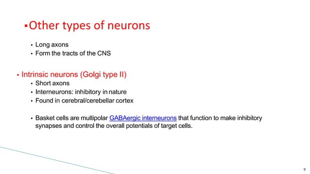 Histology of the CNS.pptx including neurons | PPT