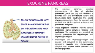 Histology of the digestive system by Runyi Ben.pptx