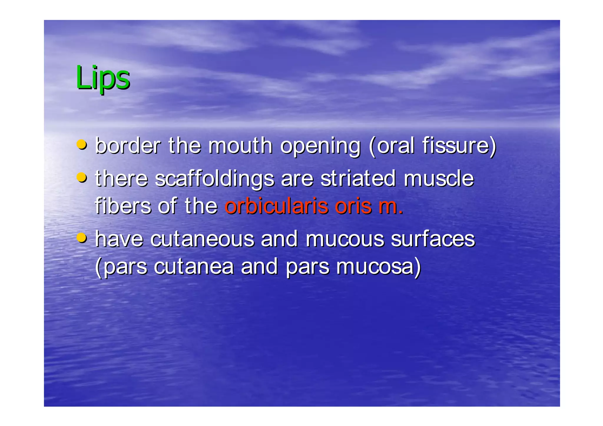 Histology of the digestive system part1 | PDF