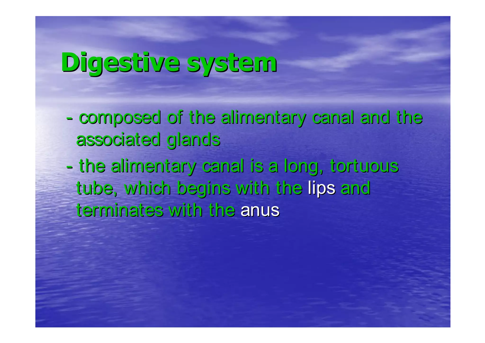 Histology of the digestive system part1 | PDF