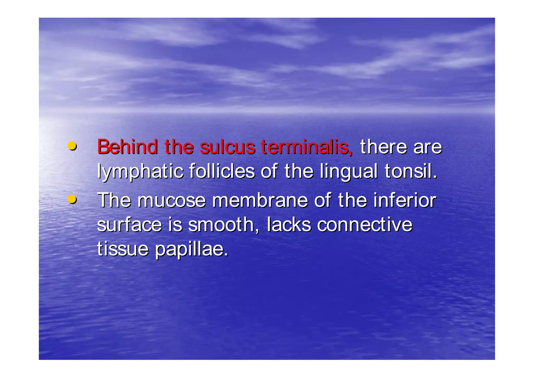 Histology of the digestive system part1 | PDF