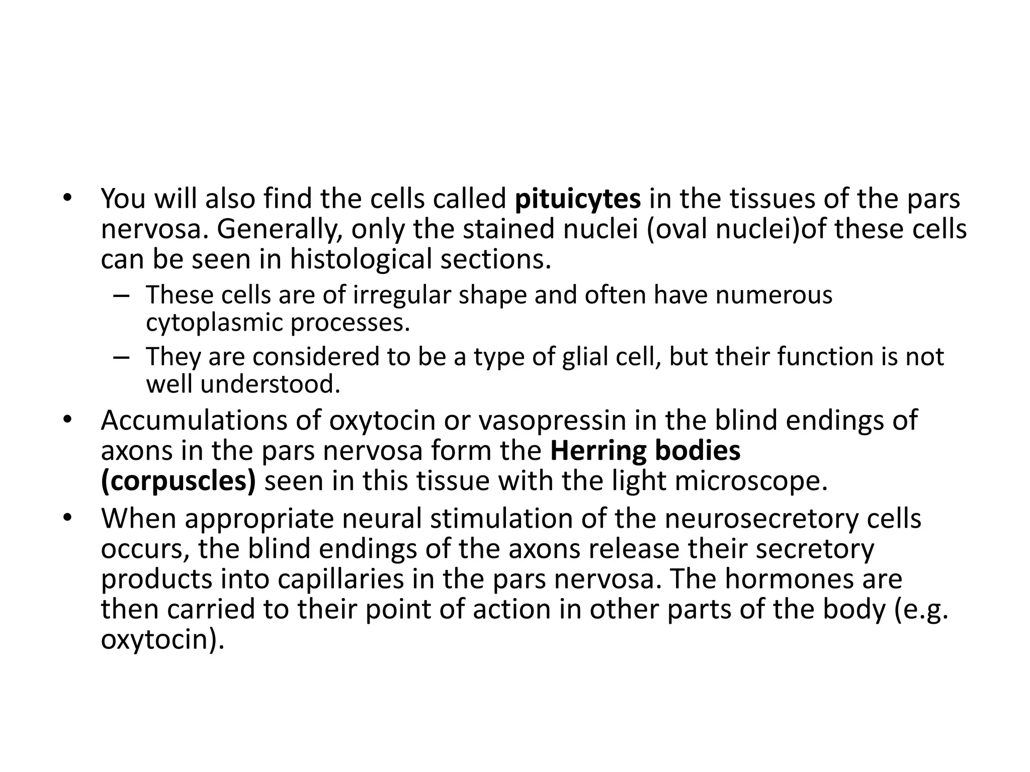 histology _ of _ the _ endocrine _ system | PDF