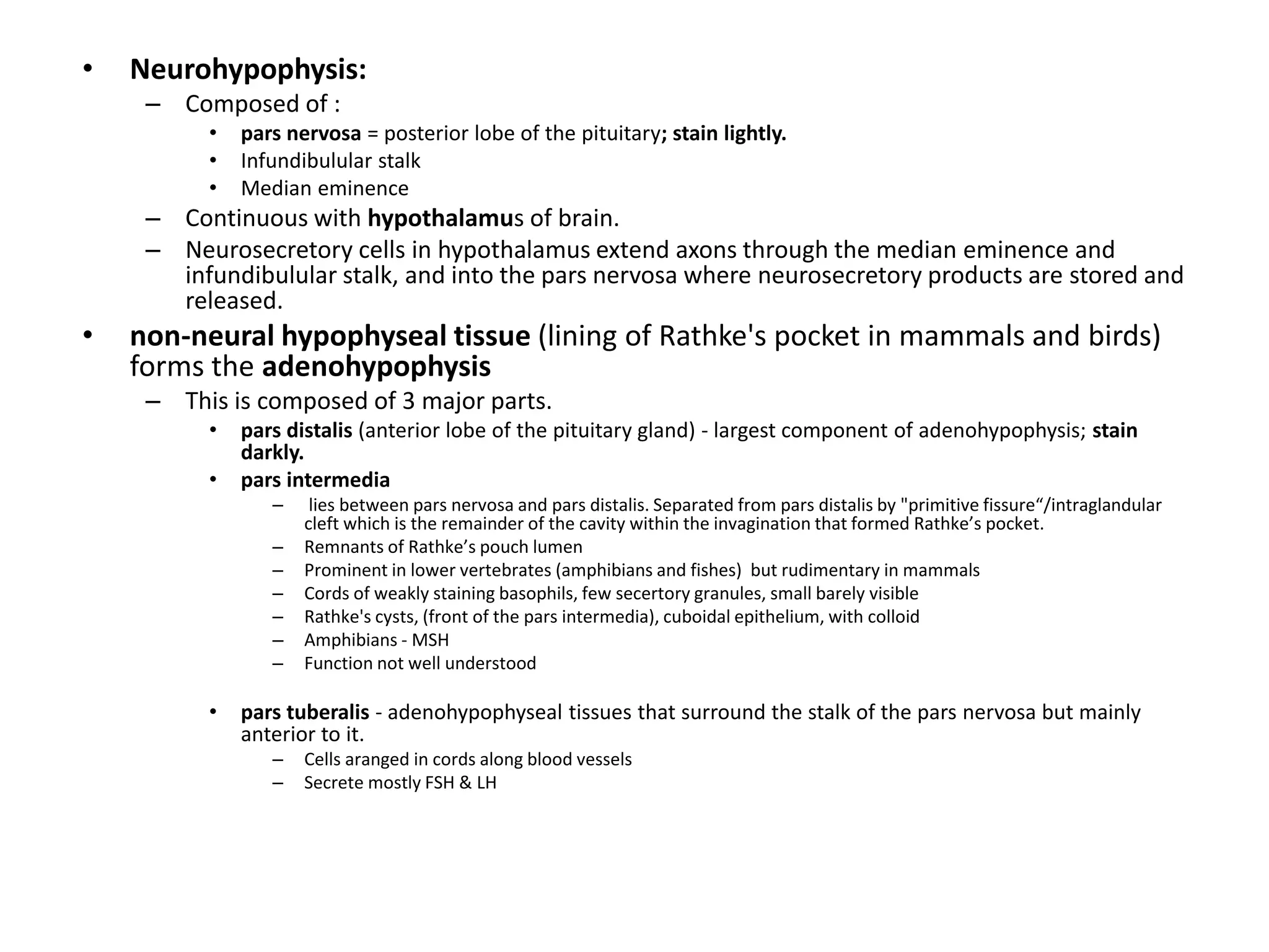 histology _ of _ the _ endocrine _ system | PDF