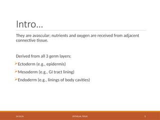 HISTOLOGY OF THE EPITHELIAL TISSUE AND FUNCTIONS | PPTX