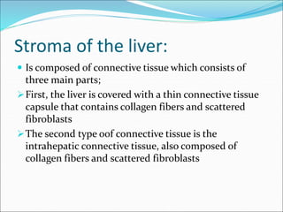 Histology of the liver.ppt this covers liver | PPT