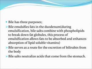 Histology of the liver.ppt this covers liver | PPT