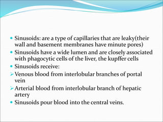 Histology of the liver.ppt this covers liver | PPT