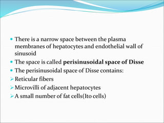 Histology of the liver.ppt this covers liver | PPT | Endocrine and ...